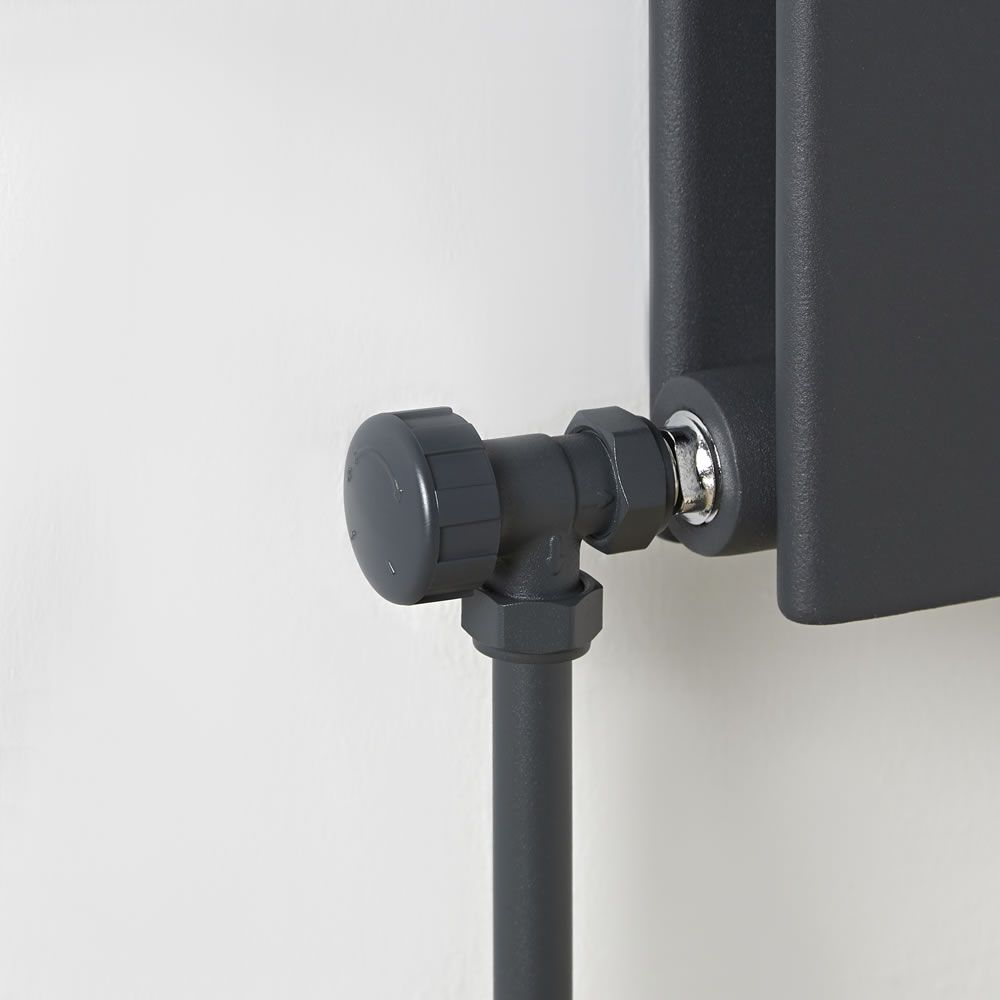 Radiatorbuizen met Rozetten Antraciet